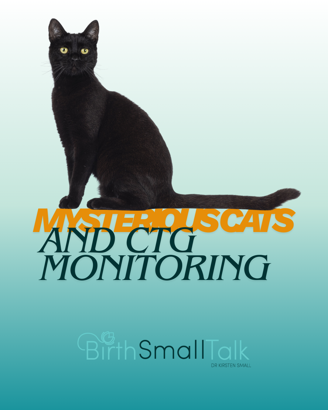 Mysterious cats and CTG monitoring – Birth Small Talk