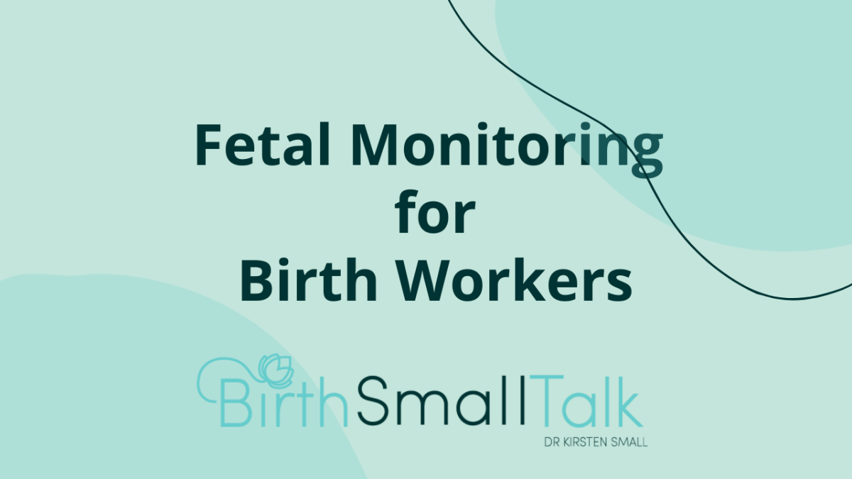 It’s here! Fetal Monitoring for Birth Workers – Birth Small Talk