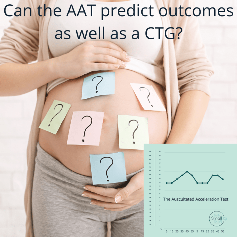 Birth Small Talk – Fetal monitoring information you can trust